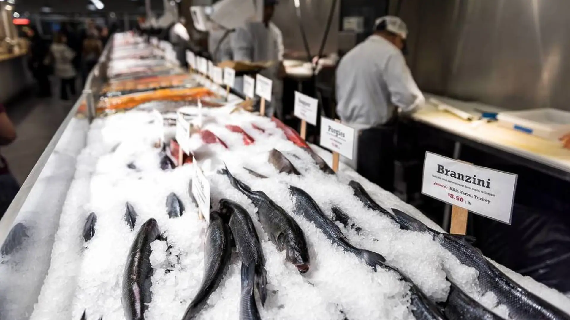 Fresh Fish at Affordable Prices in Bronx, NY's Bustling Market